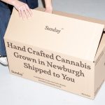 Mango - All Design Lab